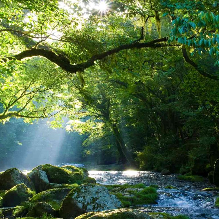 Alnarp Cleanwater - Enskilt avlopp och Regnvattenåtervinning